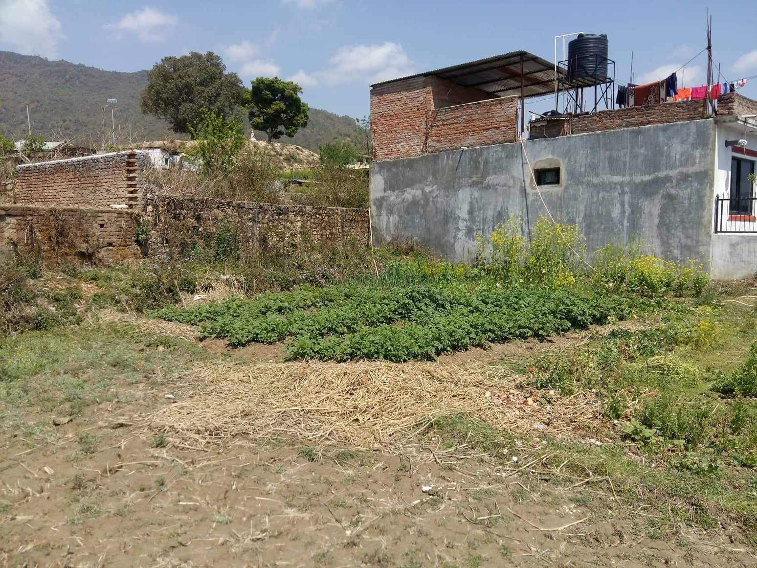 Eproperty Nepal | Land for Sale at Nayapati, Kathmandu