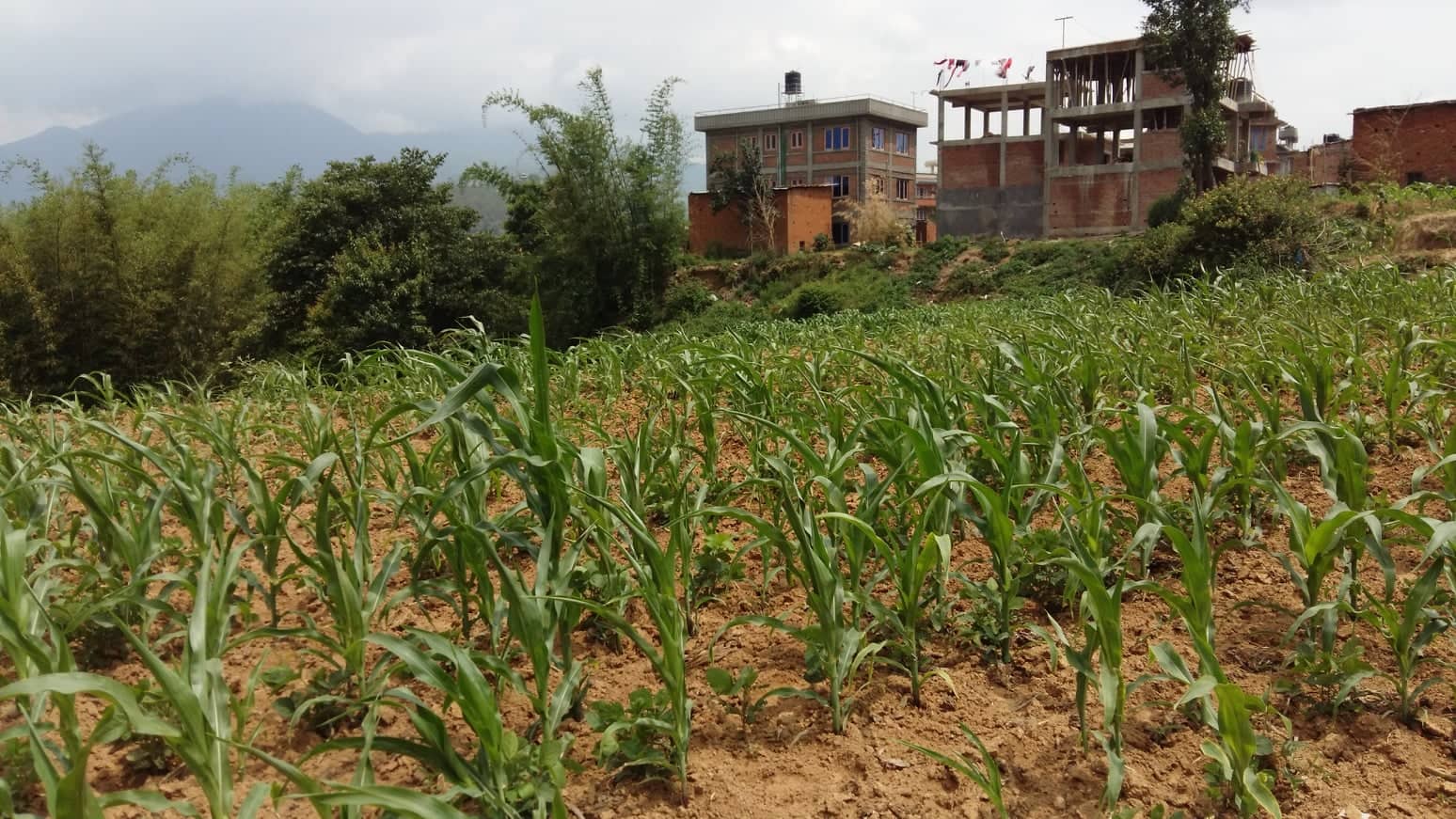 Eproperty Nepal | Land for Sale at Dhapakhel, Lalitpur